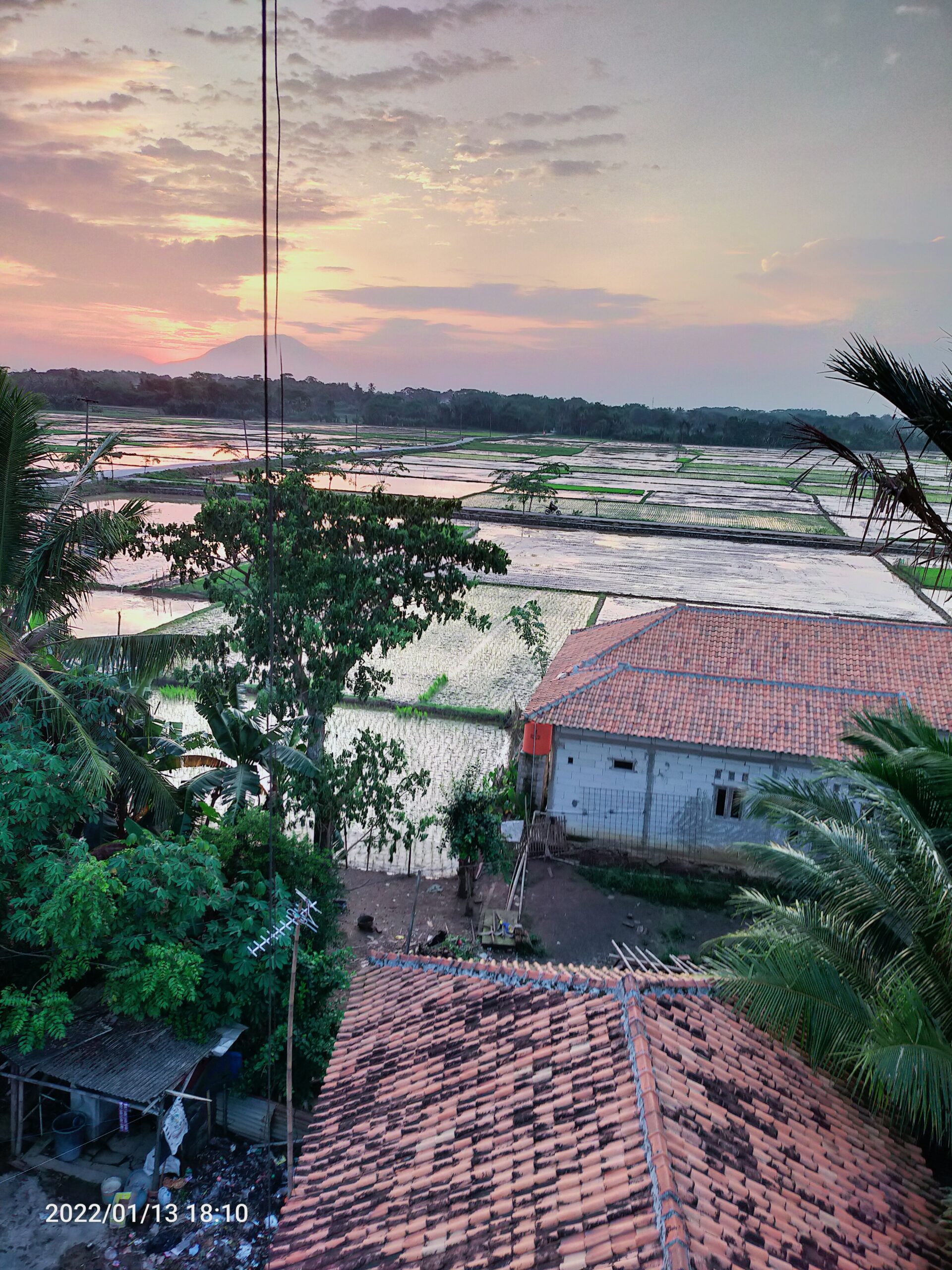 Pemerintahan Desa Pringwulung – Desaku Bumiku